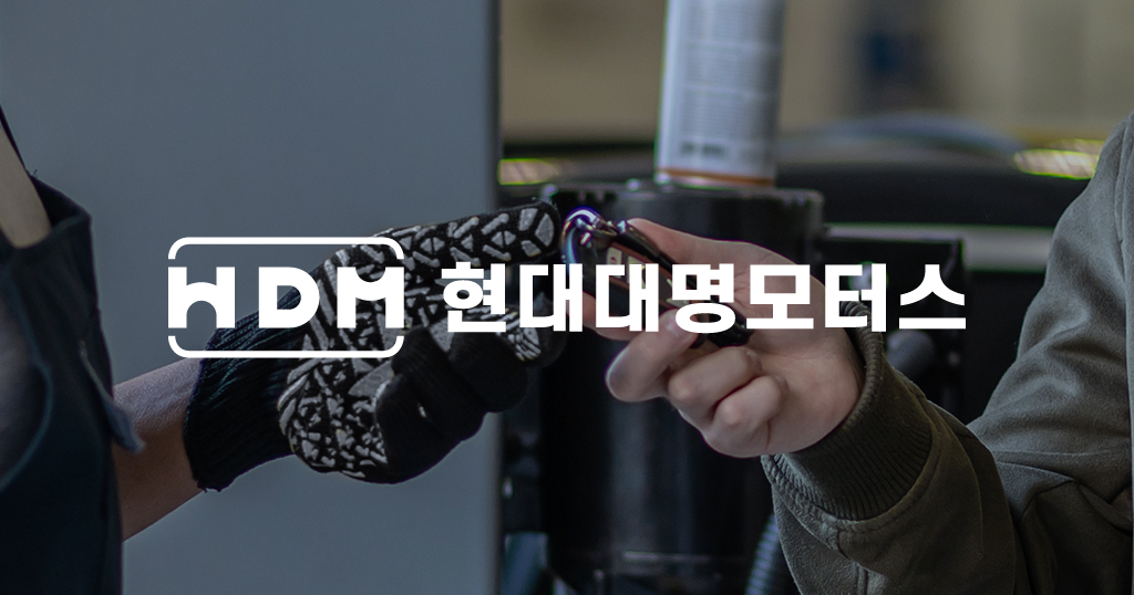 자동차 검사 - 현대대명모터스