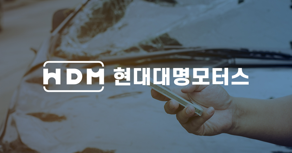 사고보험 - 현대대명모터스